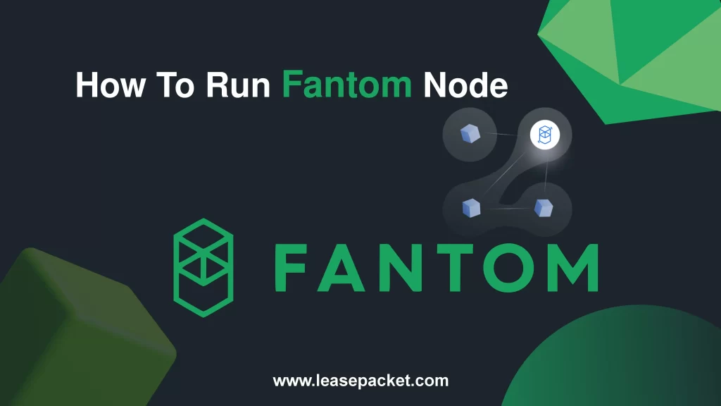 How to Run Fantom Node?